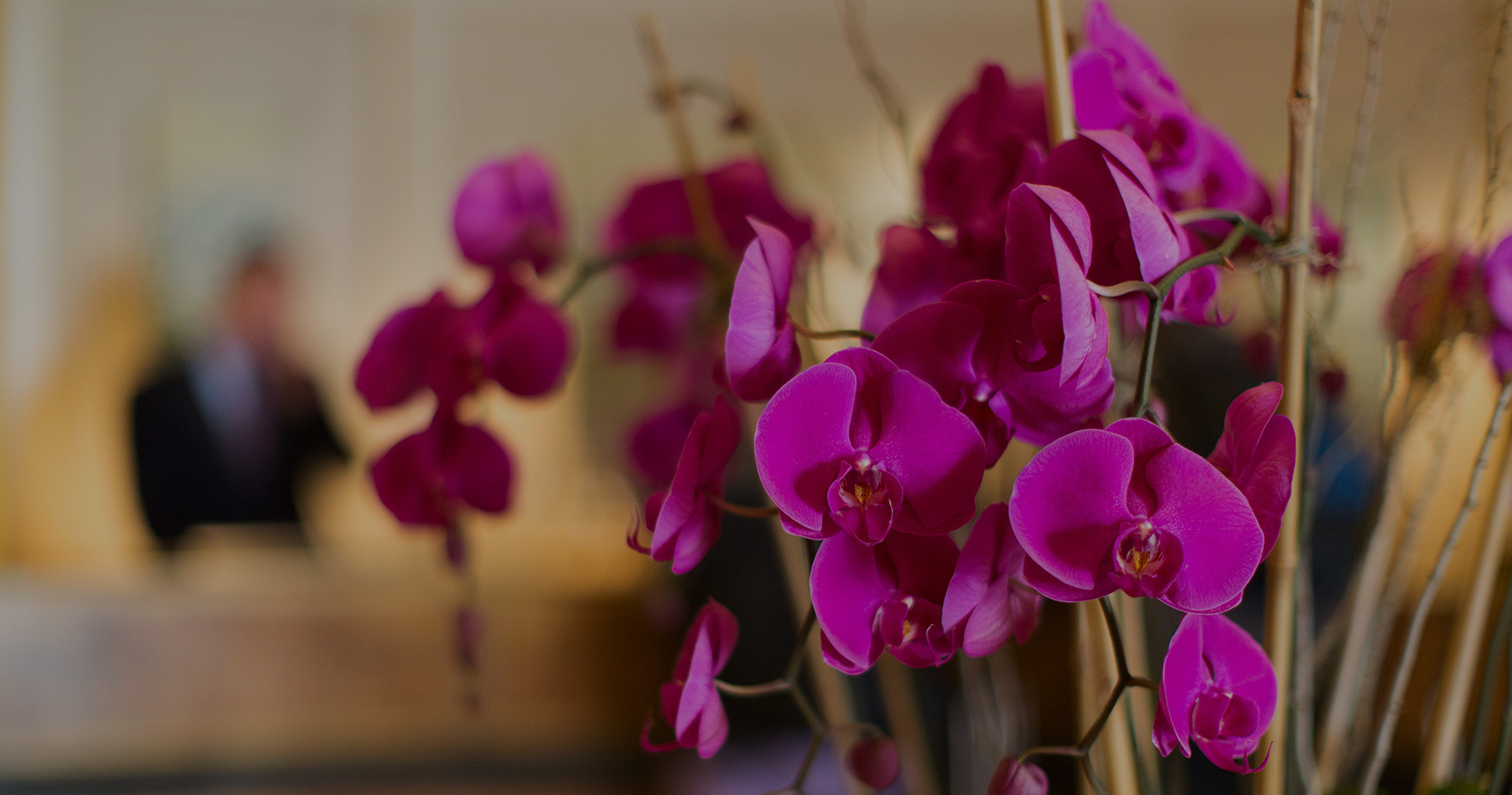 JW Marriott Experience - Residences Reston Station